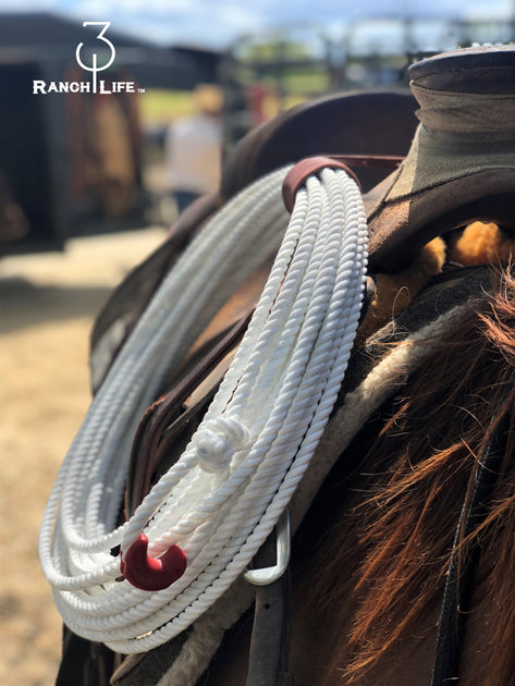Rope "Seconds" – 310 Ranch Life
