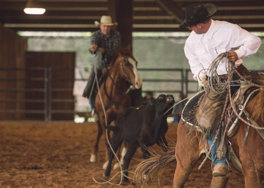 Clinic Payment – 310 Ranch Life