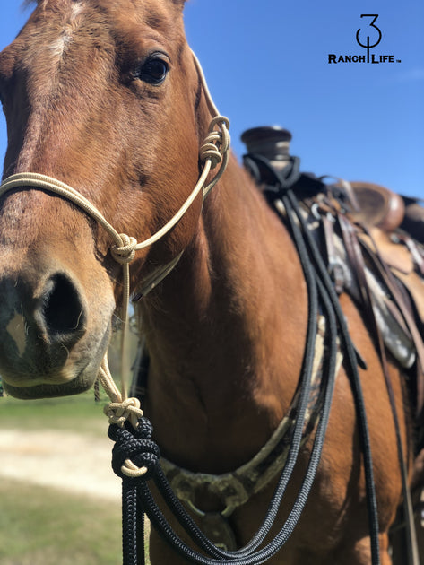 Tack & Supplies – 310 Ranch Life
