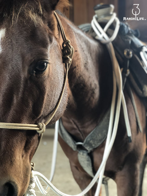 Mecate Reins – 310 Ranch Life